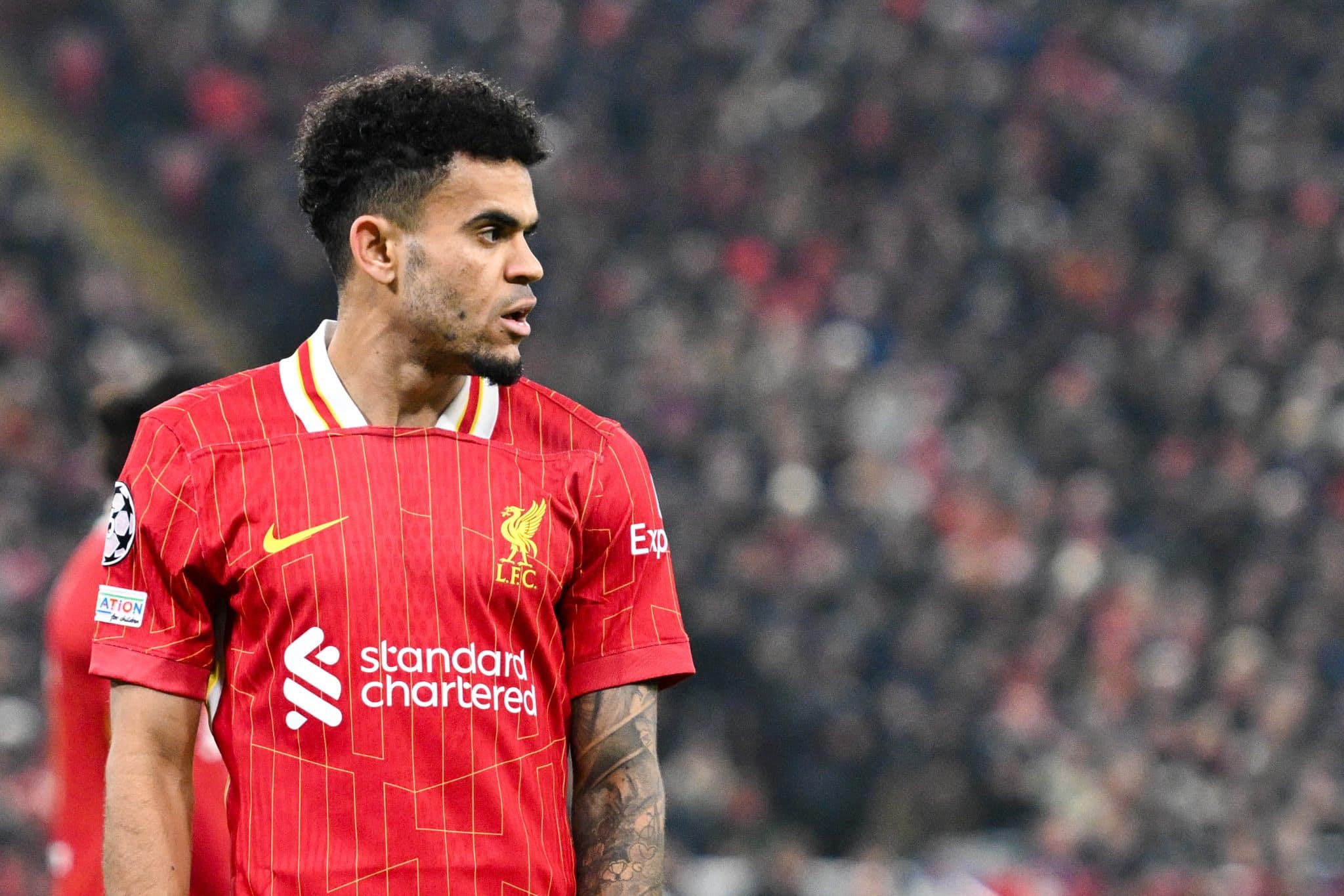 Chelsea transfer news: Liverpool's Diaz a sensational Blues target ...